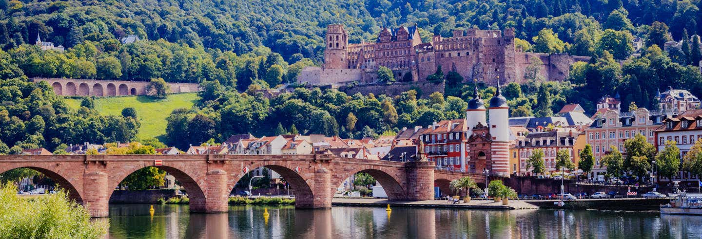 Excursiones, visitas guiadas y actividades en Heidelberg