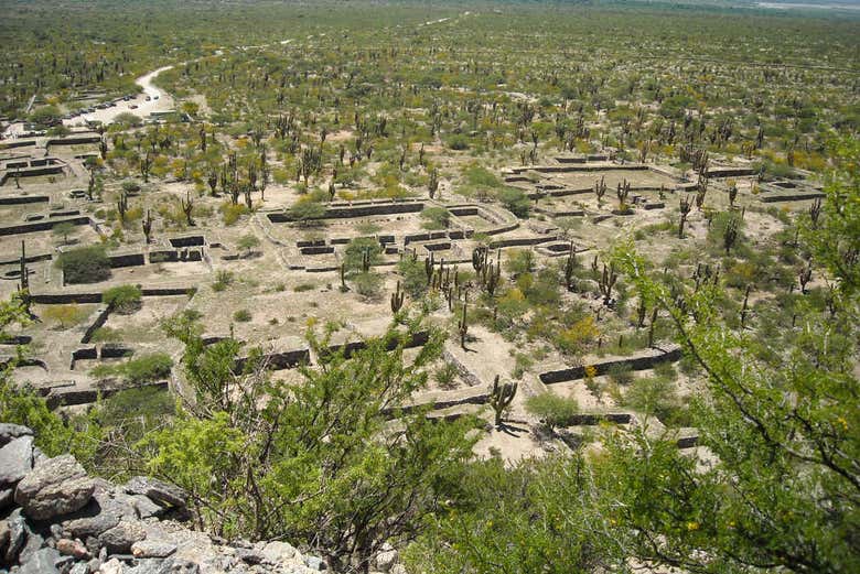 Excursión a las ruinas de Quilmes desde Cafayate - Civitatis.com