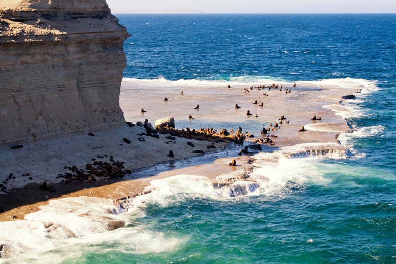South Valdes Peninsula Trip, Puerto Madryn