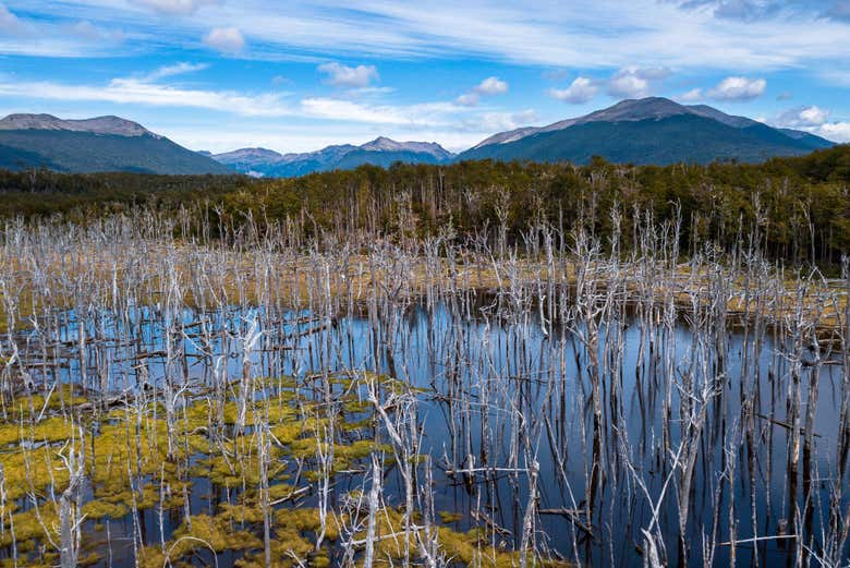 Excursión a los lagos Escondido y Fagnano desde Ushuaia