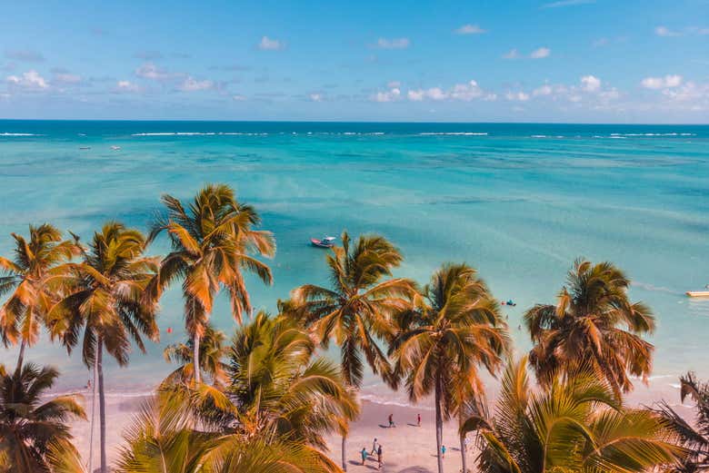 Excursión a Maragogi desde Maceió - Reserva en Civitatis.com