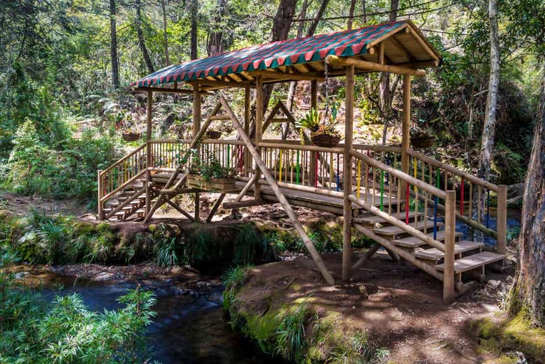 Excursión al Parque Arví desde Medellín - Civitatis.com