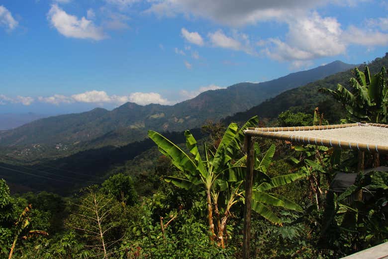 Excursión a Minca desde Santa Marta - Reserva en Civitatis.com