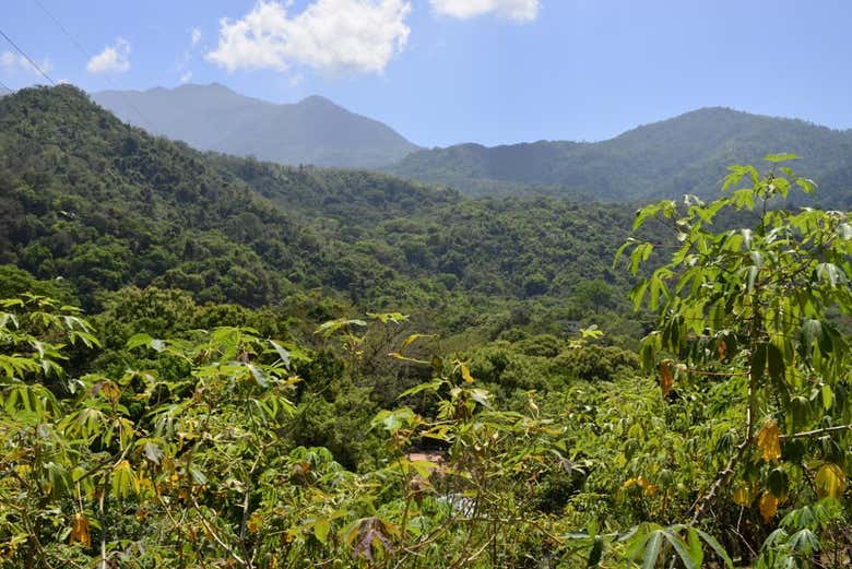 Excursión a Minca desde Santa Marta - Reserva en Civitatis.com