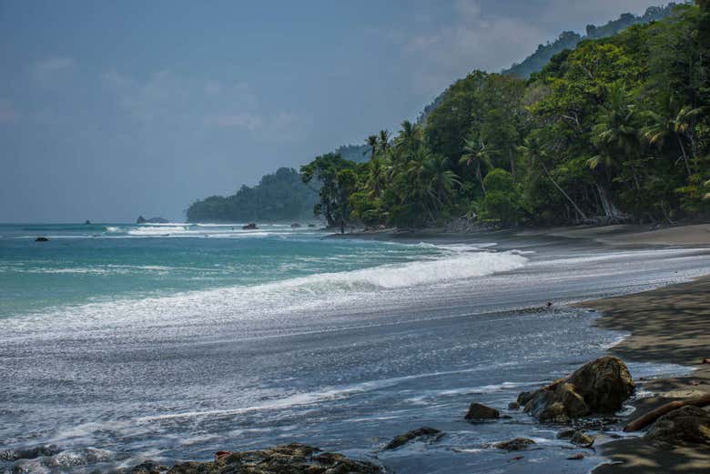 Excursión a Sirena desde Bahía Drake - Reserva en Civitatis.com