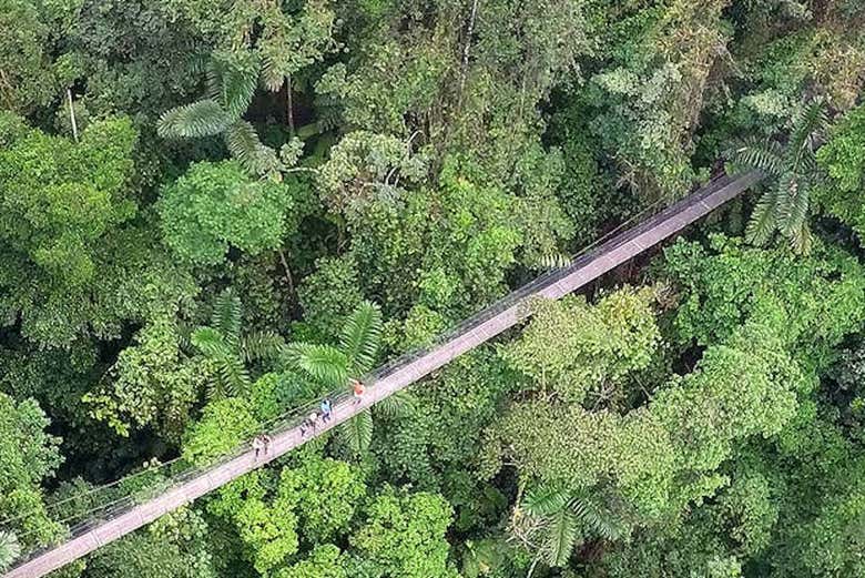 Tour por los puentes colgantes de Arenal desde La Fortuna