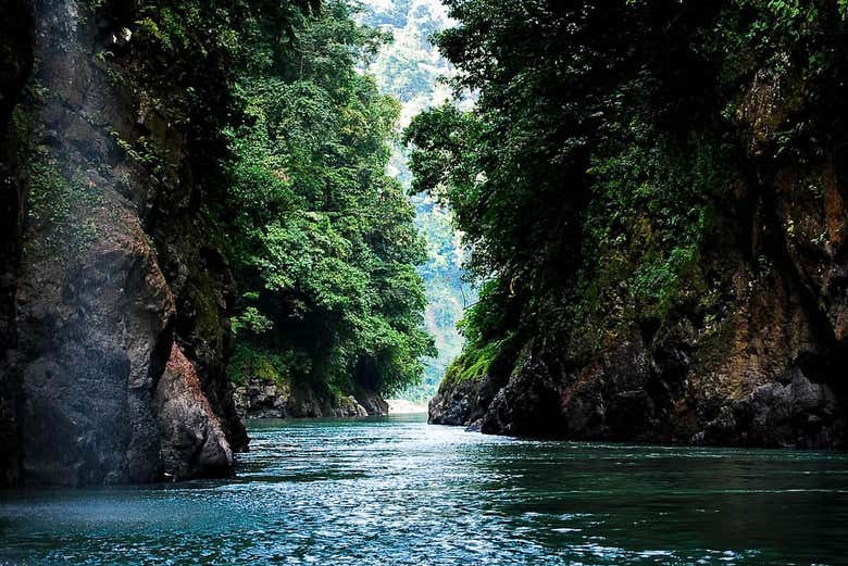 Rafting en el río Pacuare desde San José - Civitatis.com
