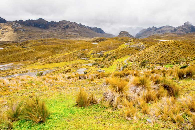 Excursión al Parque Nacional Cajas, Cuenca