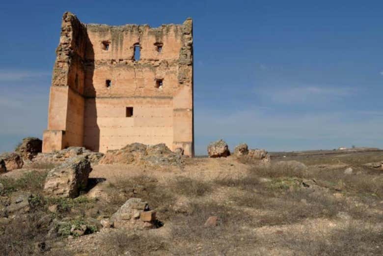 Visita guiada por el yacimiento de Cástulo, Linares
