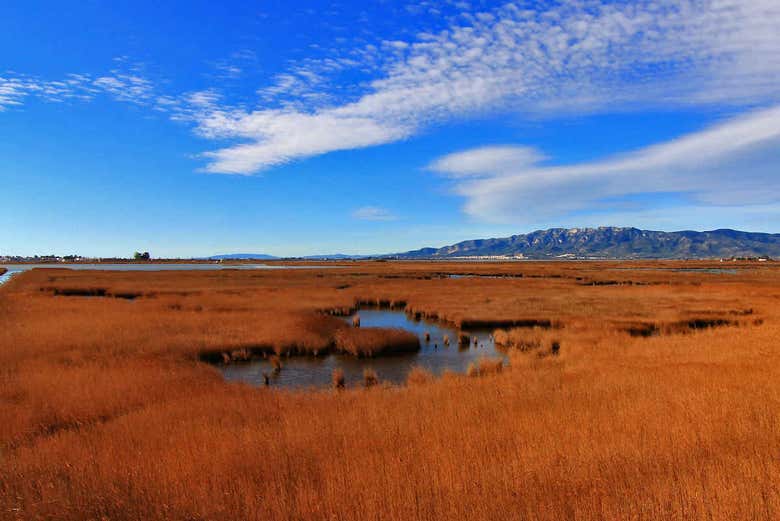 Excursión al Delta del Ebro + Paseo en catamarán desde Oropesa del Mar