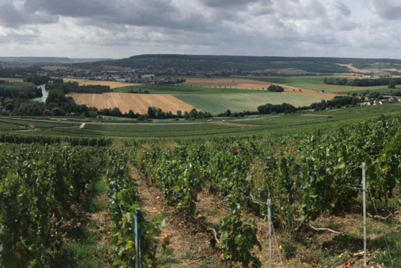 Tour del champán Épernay, Hautvillers y Mareuil-sur-Ay desde Reims