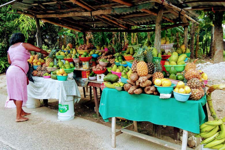 Excursion au lac de Péligre et au Bassin Zim depuis Port-au-Prince