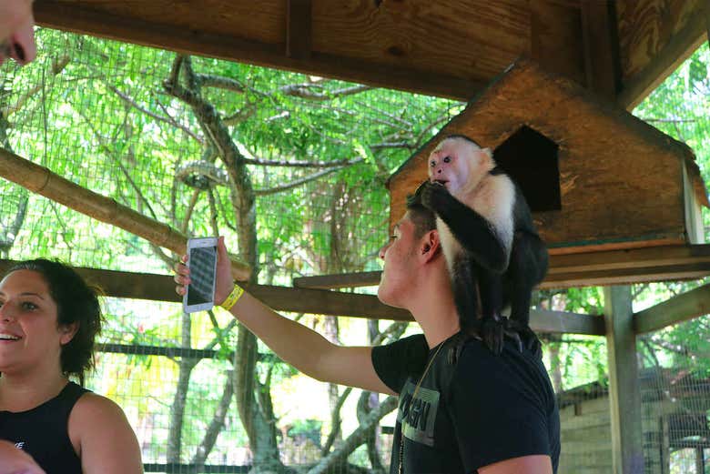Parque Manawakie, playa West End y fábrica de chocolate de Roatán