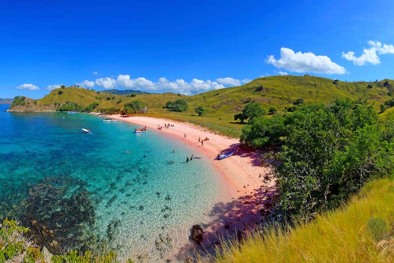 2 días por las islas del dragón de Komodo desde Labuan Bajo