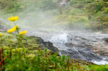 Guided tours, day trips and activities in Iceland - Civitatis.com