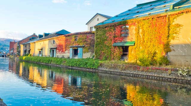 Excursiones, visitas guiadas y actividades en Otaru - Civitatis