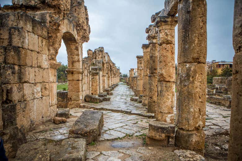 Excursão privada a Sidon, Tiro e Maghdouché saindo de Beirute
