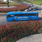 Activities, Guided Tours and Day Trips in Lima - Civitatis.com