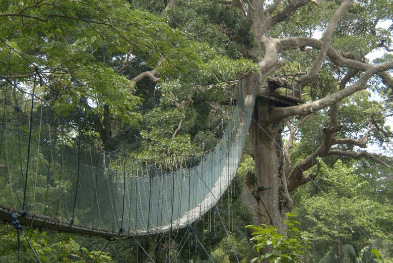 Tour de 4 días por la selva amazónica, Puerto Maldonado