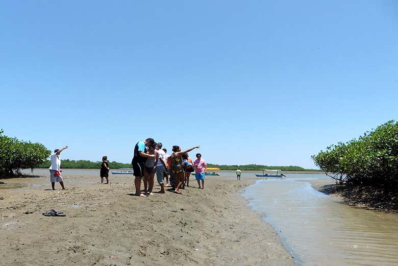 Tour por el Santuario Nacional de Los Manglares de Tumbes