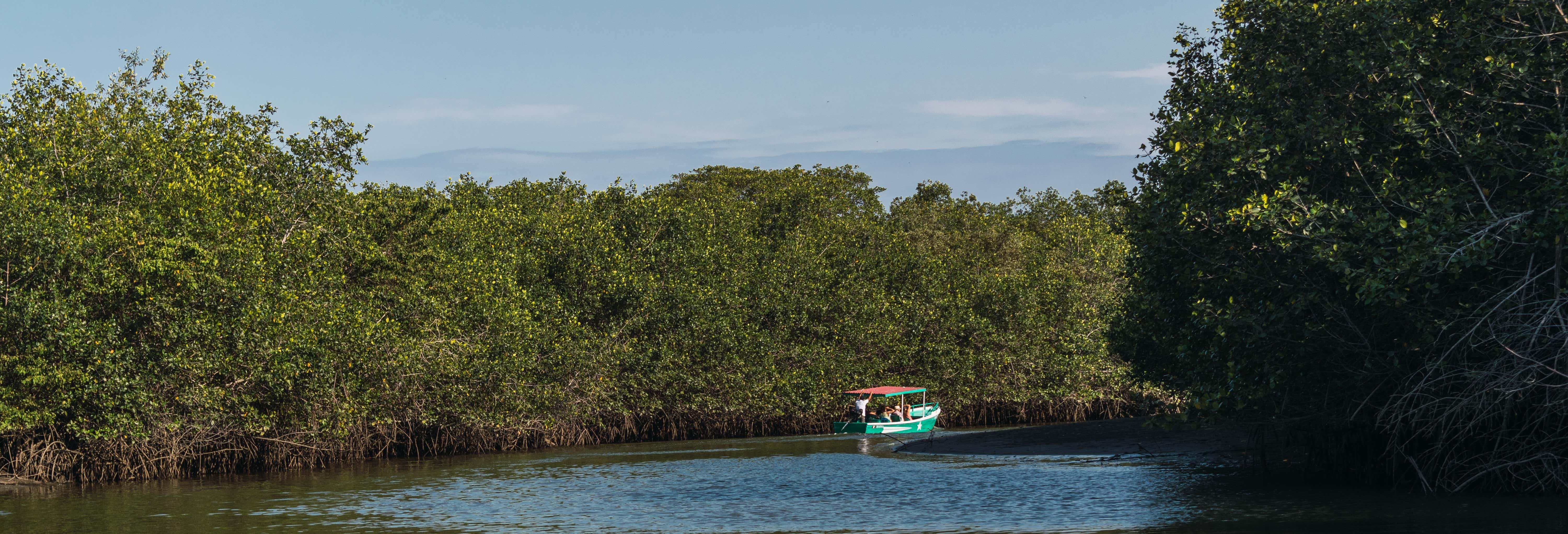 Tour por el Santuario Nacional de Los Manglares de Tumbes