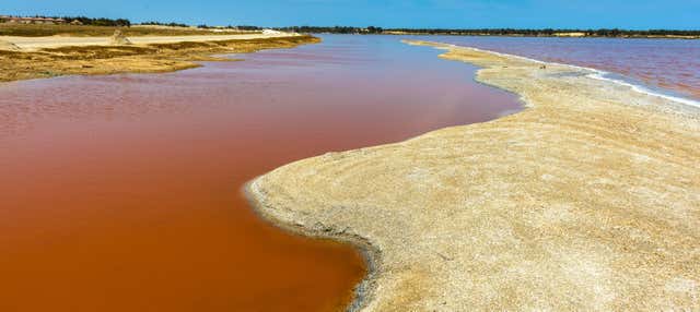 Excursion au lac rose depuis Dakar - Réservez sur Civitatis.com