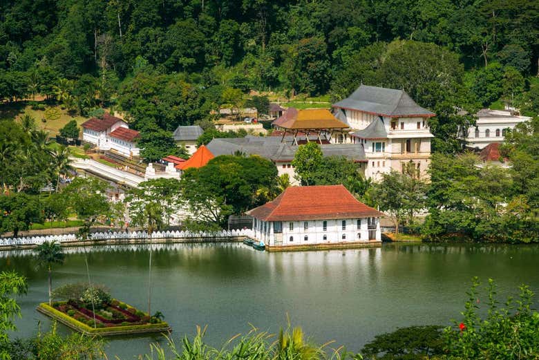 Excursion à Kandy depuis Negombo - Réservez sur Civitatis.com