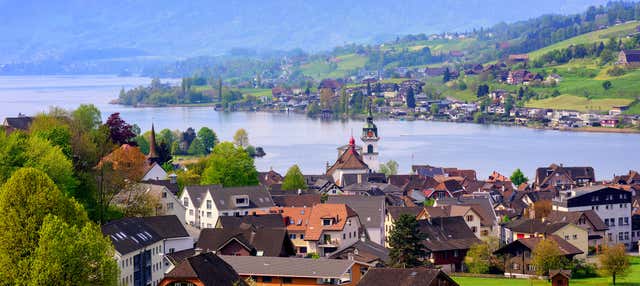 Excursión al Monte Rigi desde Lucerna - Reserva en Civitatis.com