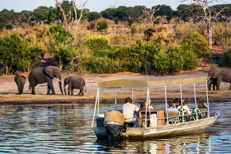 Excursión al Parque Nacional Chobe desde Victoria Falls